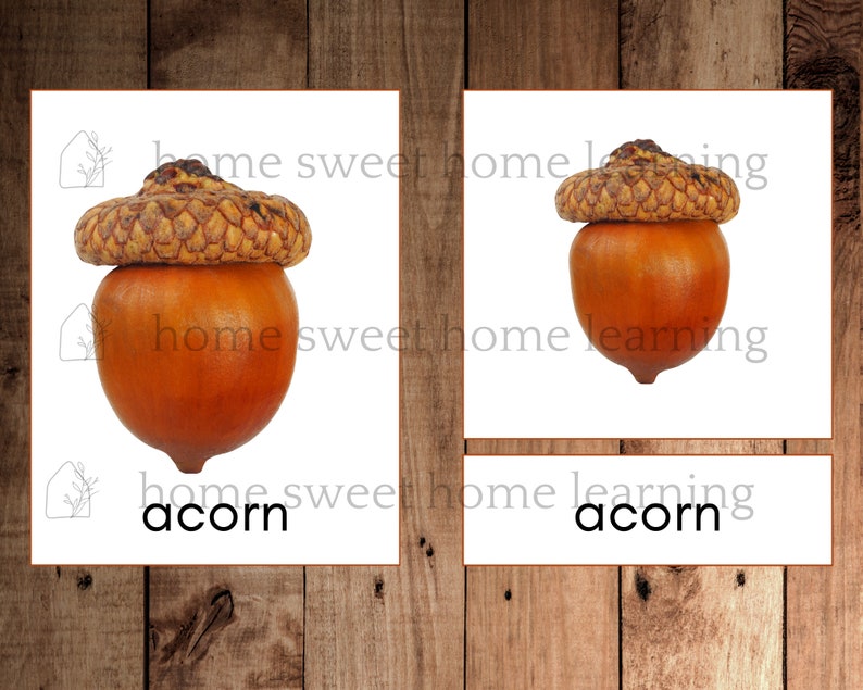Printable Three-part Cards Nomenclature Cards Fall Nature Flashcards ...