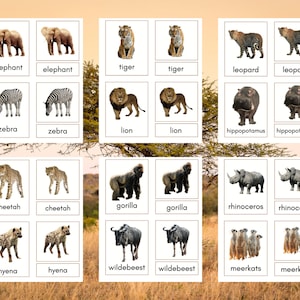 African Animal Flashcards: Montessori Three-part Cards (PDF Printable ...