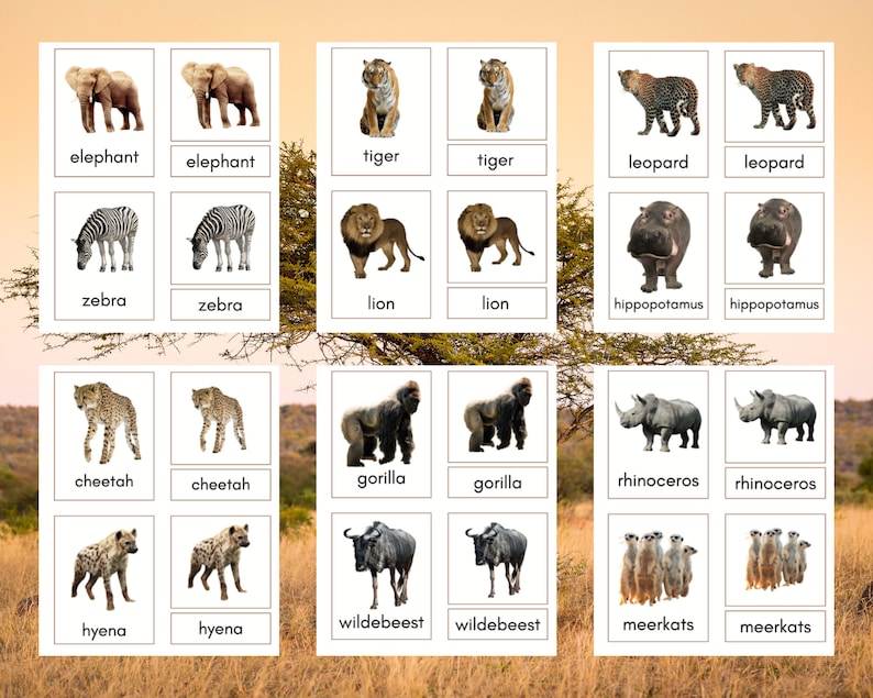 African Animal Flashcards Printable Three-part Cards Montessori ...