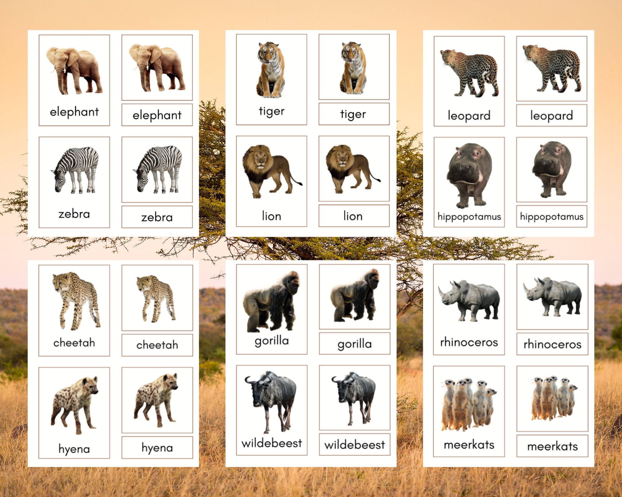 African Animal Flashcards Printable Three-part Cards Montessori ...