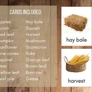 Fall Montessori Cards: Autumn Nature Flashcards (digital Download) - Etsy