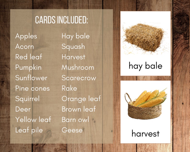 Printable Three-part Cards Nomenclature Cards Fall Nature Flashcards ...