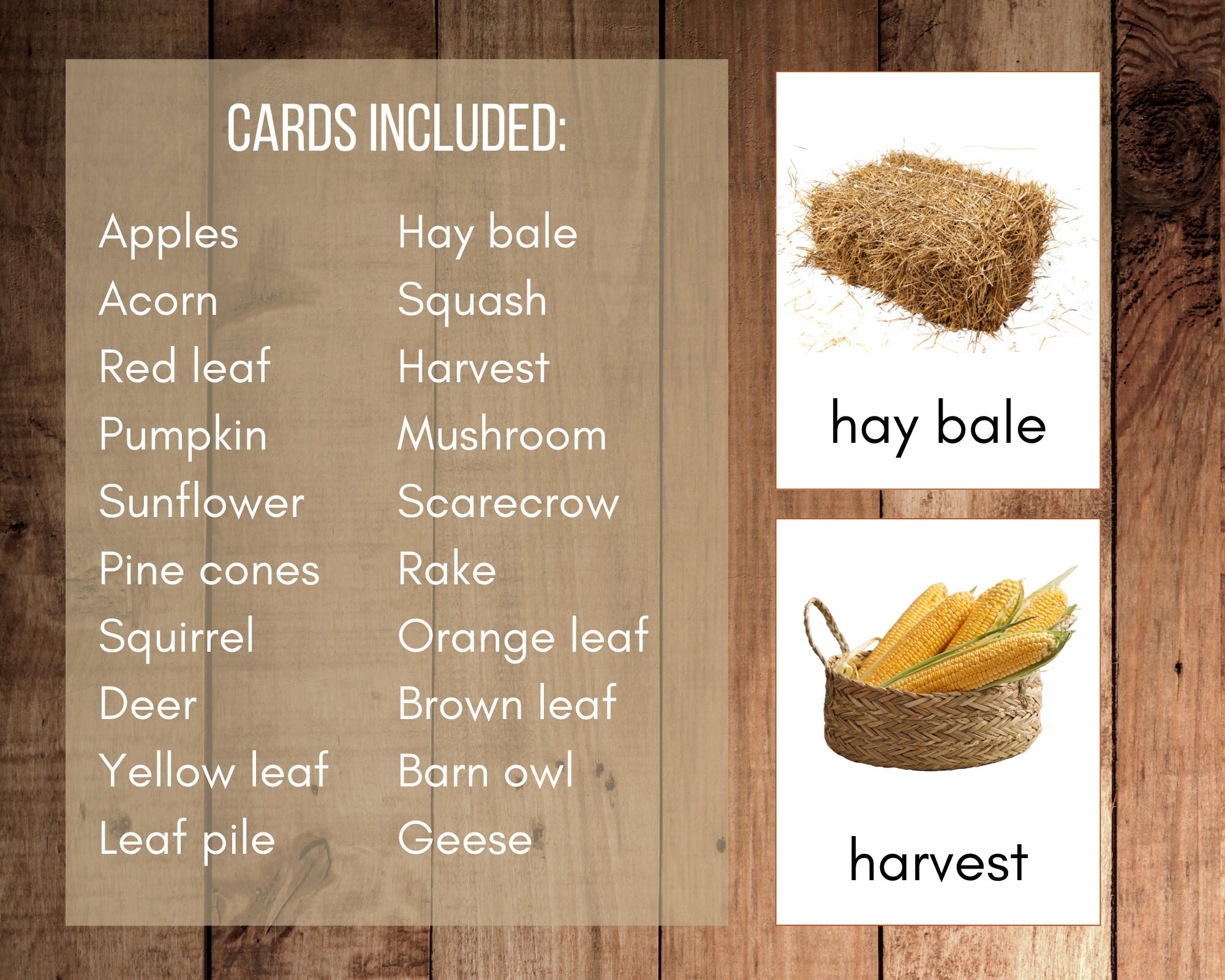 Printable Three-part Cards Nomenclature Cards Fall Nature Flashcards ...