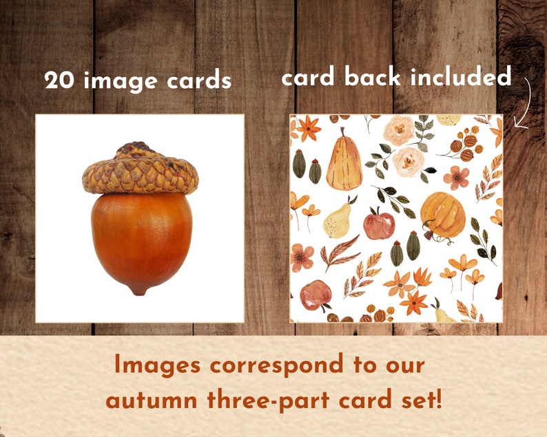 Printable Autumn Memory Matching Game: Montessori Fall Unit (PDF) - Etsy