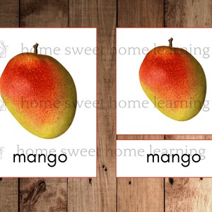 Printable Three-part Cards Fruit Real Pictures Montessori Nomenclature ...
