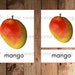Printable Three-part Cards Fruit Real Pictures Montessori Nomenclature ...