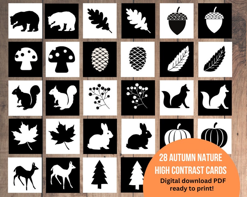 Printable High-contrast Cards Autumn Nature Montessori Black and White ...