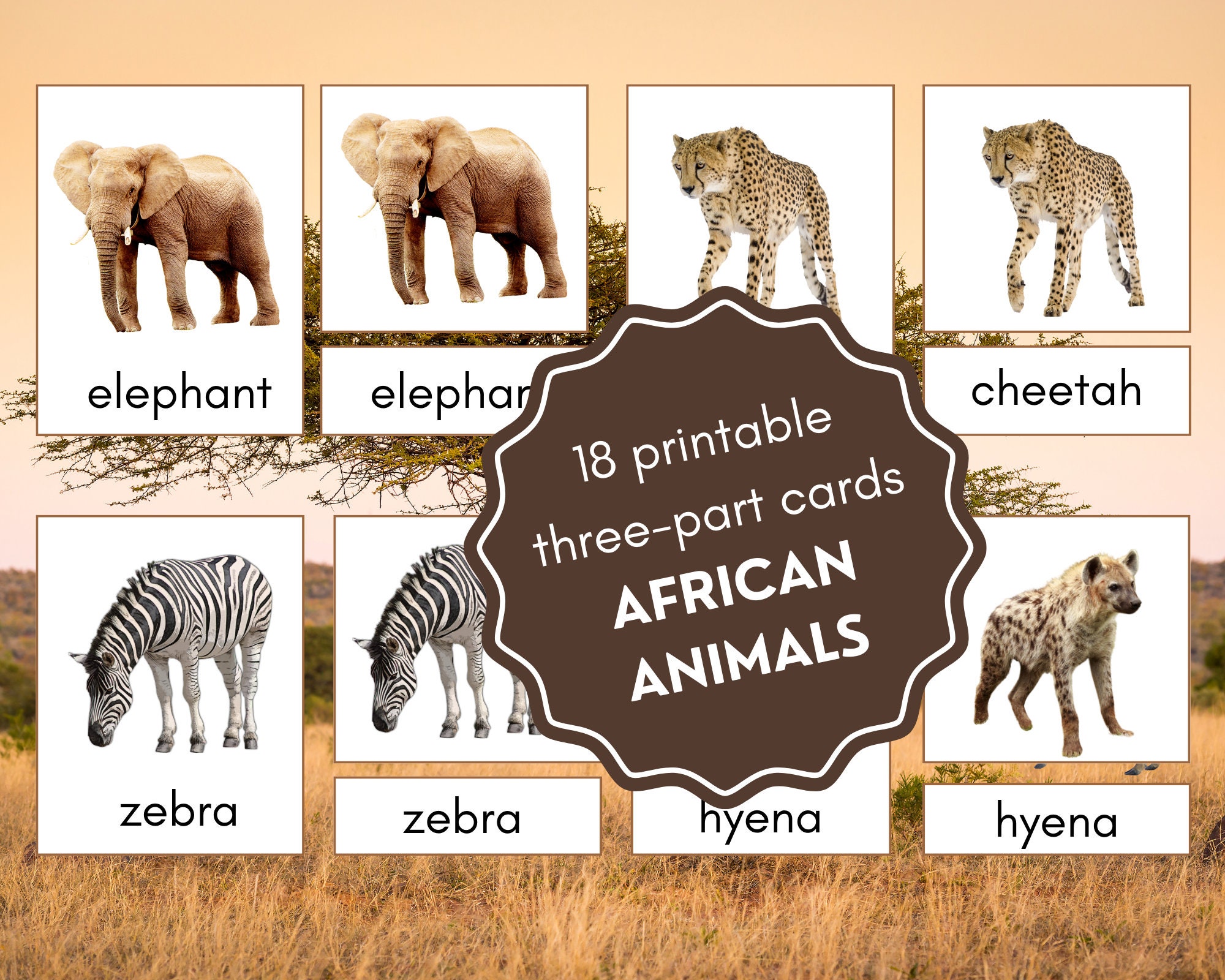 African Animal Flashcards Printable Three-part Cards Montessori ...