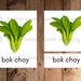 Vegetable Montessori Cards: Real Pictures, Toddler Learning (PDF) - Etsy