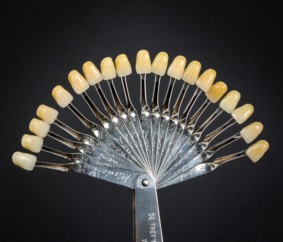 Old Vintage Tooth Models for Tooth Casting, Dentist - Etsy