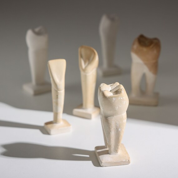 vintage dental teeth models - Gem