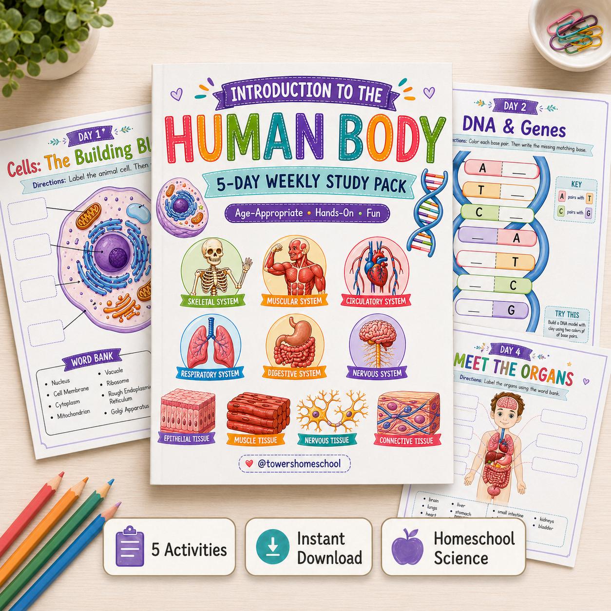 Human Body Science Unit Study Pack | Cells, DNA, Organs (digital ...