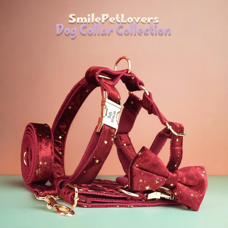 Custom Dog Harness - Etsy