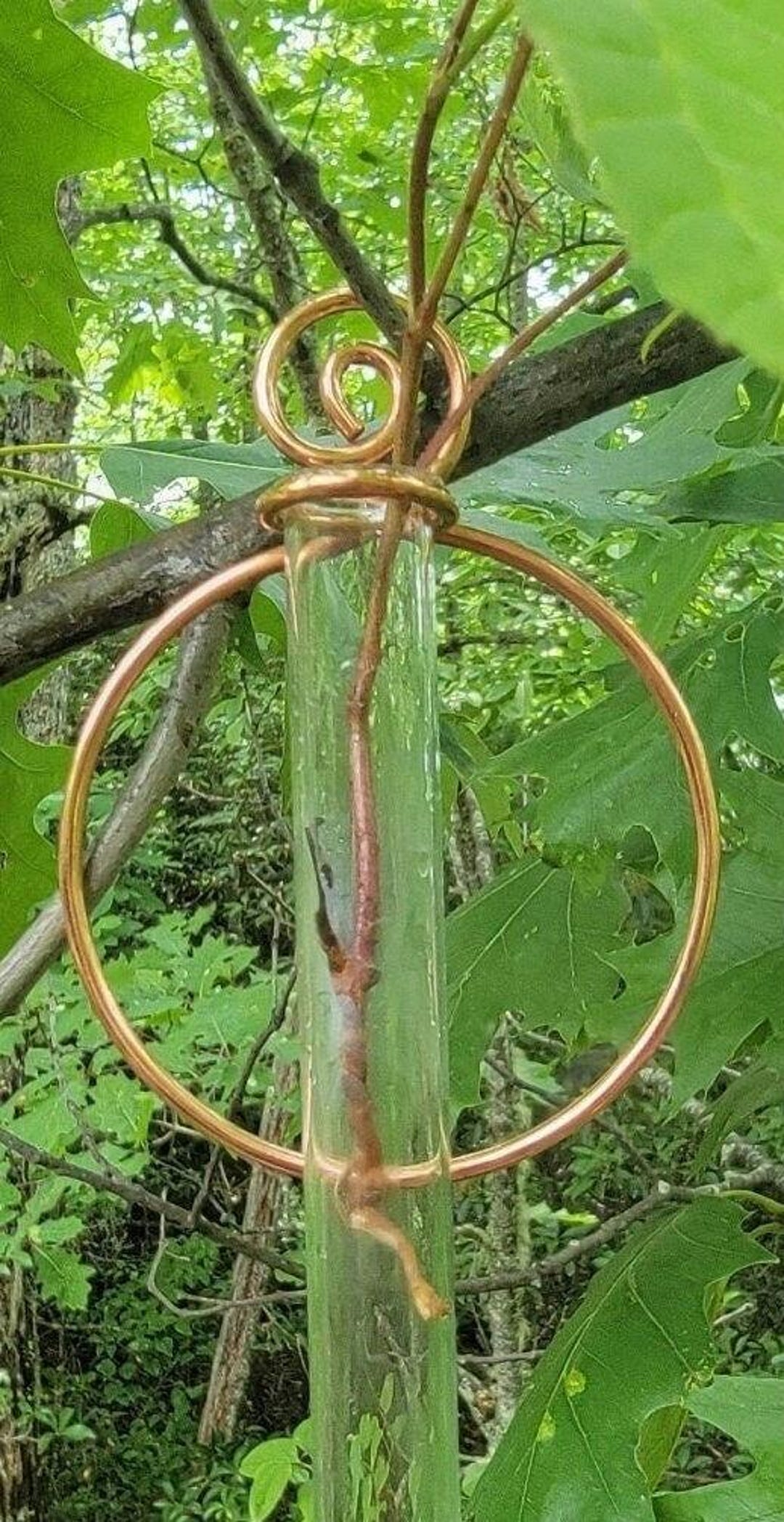 Copper Plant Propagator/ Bud Vase Wall Hangers - Etsy