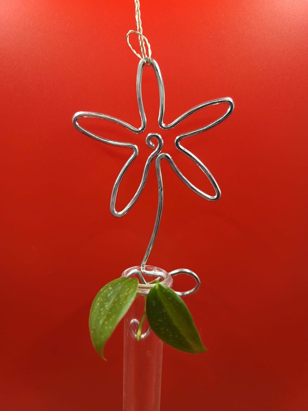 Floral Plant Propagator/bud Vase Wall Hanger - Etsy