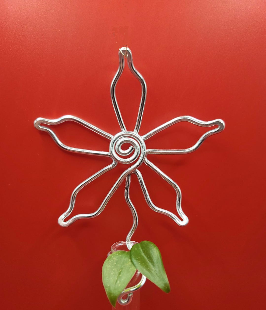 Flower Shaped Plant Propagator/bud Vase Wall Hanger - Etsy