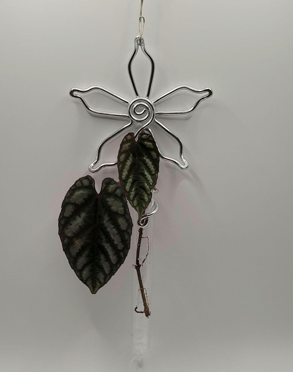 Flower Shaped Plant Propagator/bud Vase Wall Hanger - Etsy