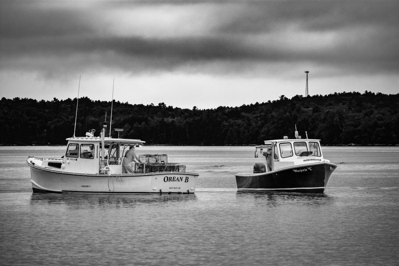 Maine Lobstering Coastal Life - Etsy