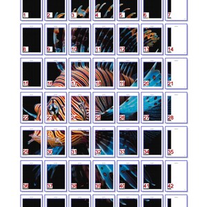 Lion Fish I Counted Cross Stitch Pattern Instant PDF Download Brilliant ...