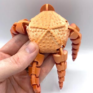 3D Printed Articulated Starfish Fidget Toy – Unique Stress Relief ...