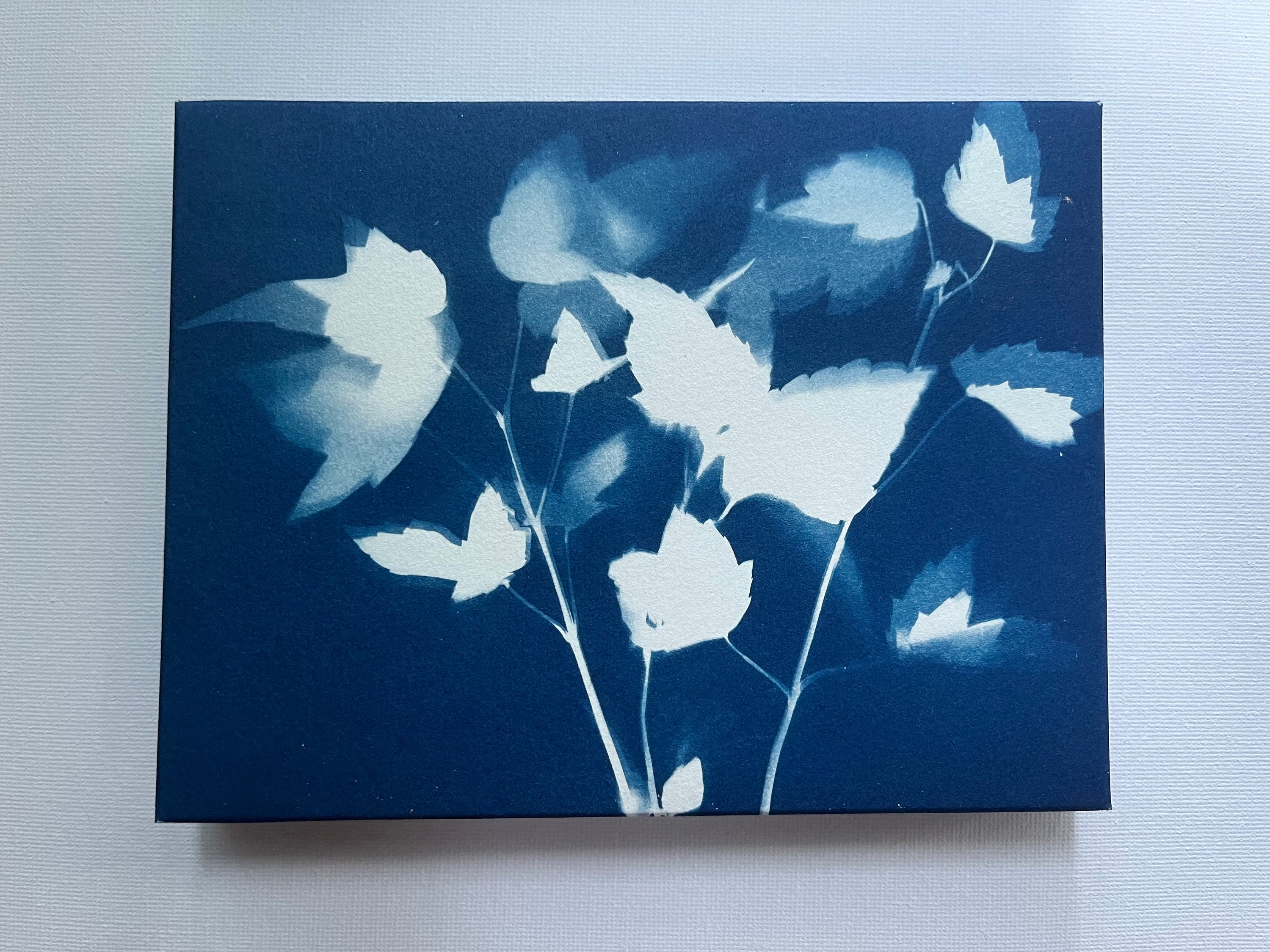 4 in 1 Cyanotype Botanical Blueprints on Canvas - Etsy