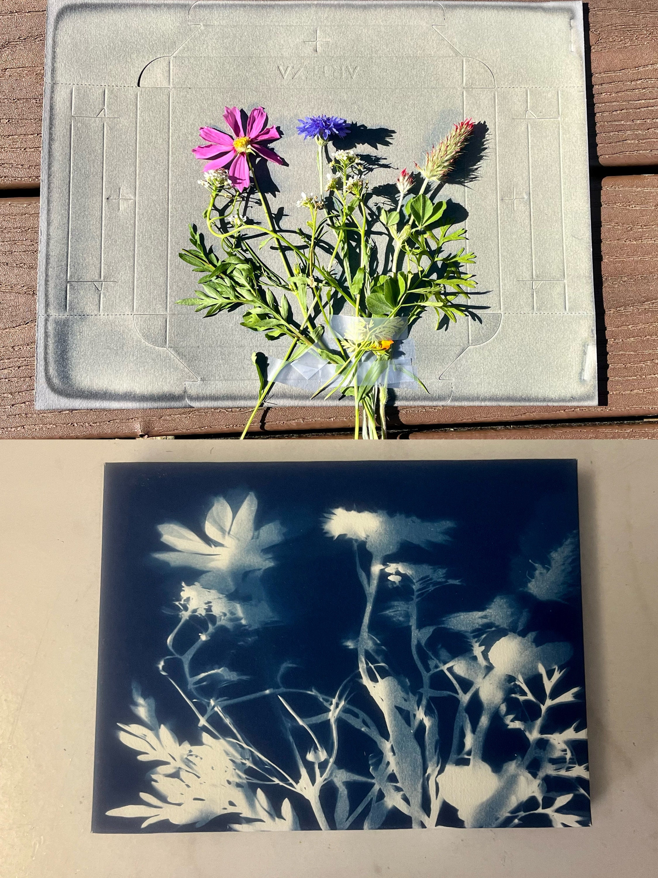 4 in 1 Cyanotype Botanical Blueprints on Canvas - Etsy