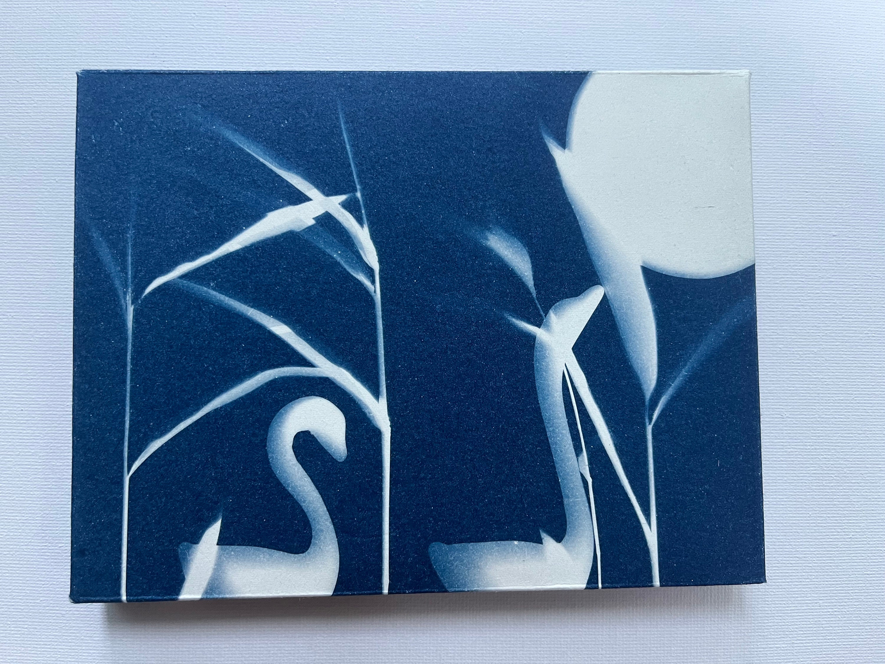 4 in 1 Cyanotype Botanical Blueprints on Canvas - Etsy