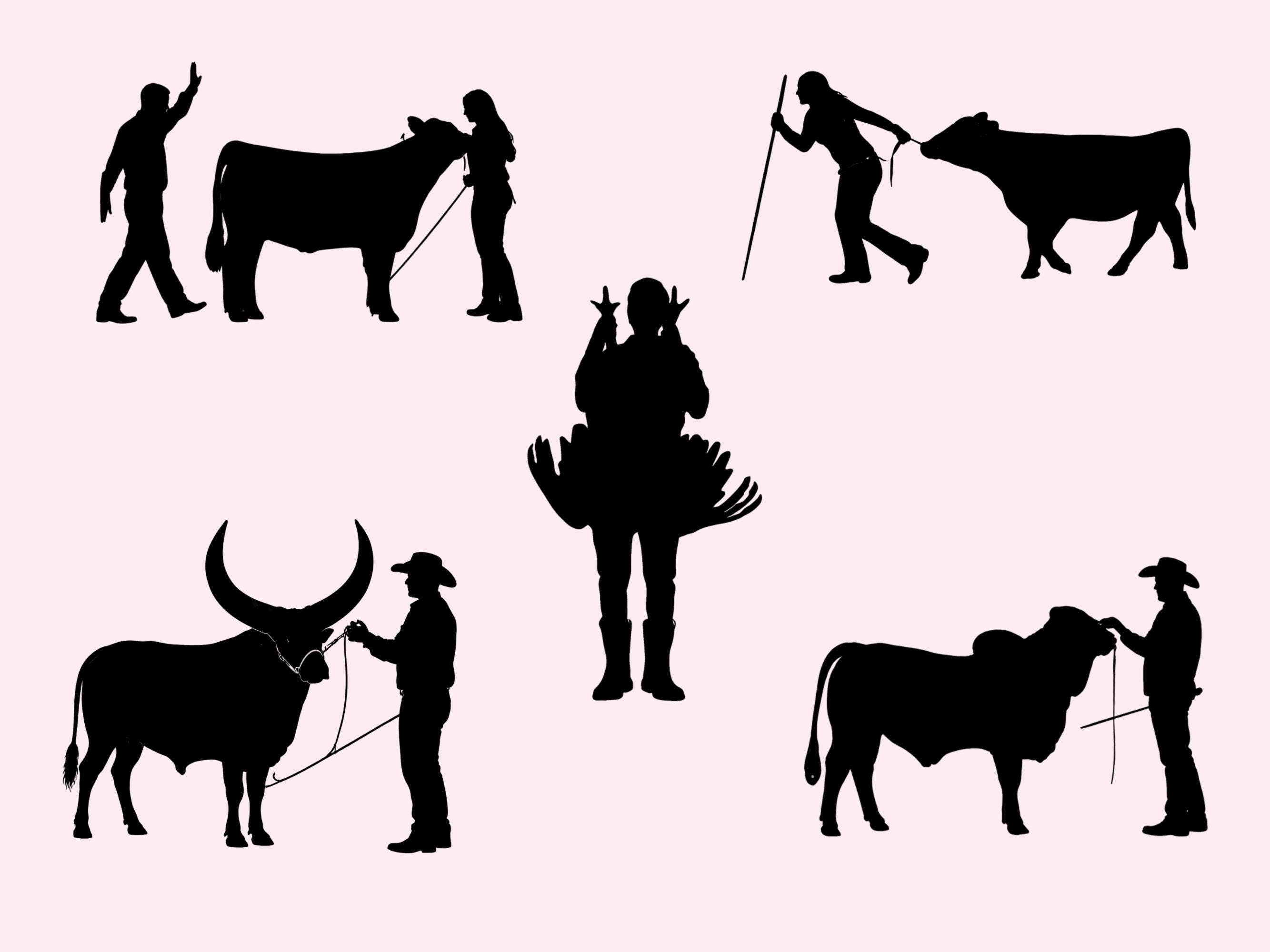 Stock Show Animal SVG Bundle Digital Download Horses, Turkey, Longhorn ...