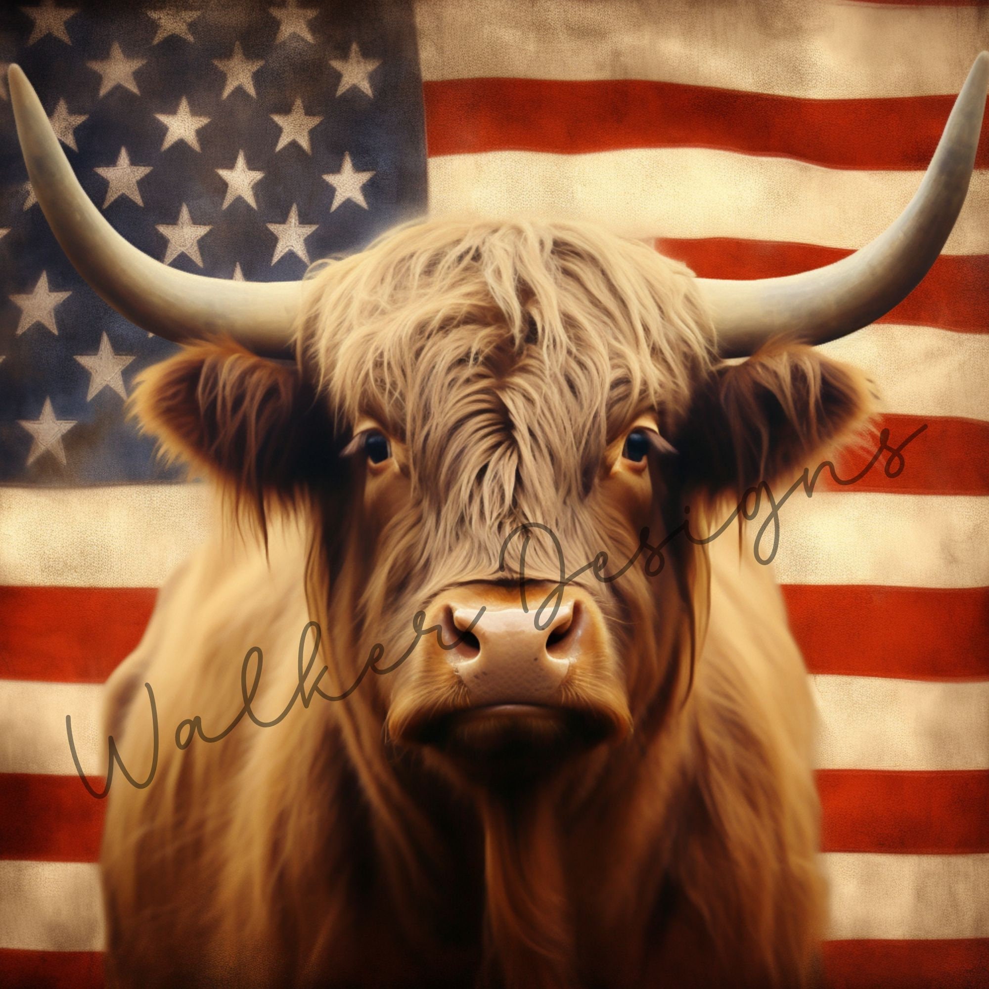 Highland Cow With the United States Flag Photo. Downloadable Digital ...