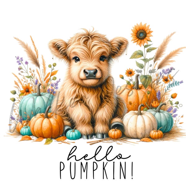 Turquoise Pumpkin - Etsy