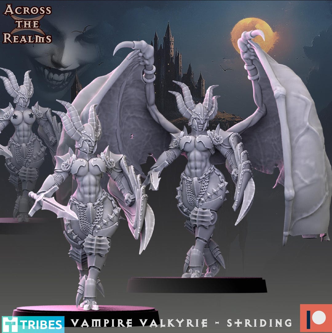 Vampire Valkyrie - Striding From Across the Realms, Wargame Miniature+ ...