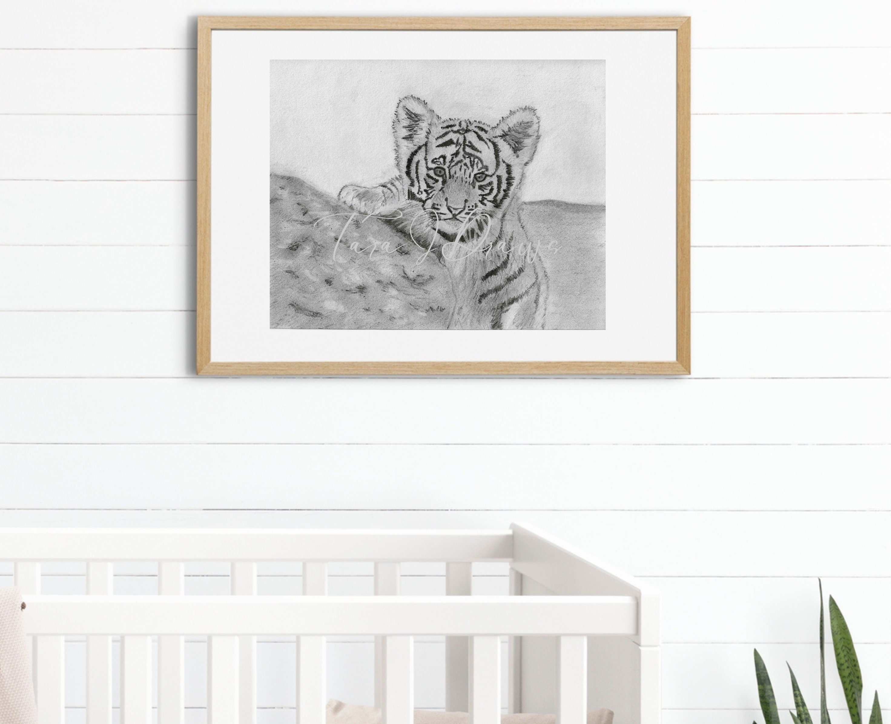 Baby Tiger Pencil Drawing for Nursery or Children's Room - Etsy
