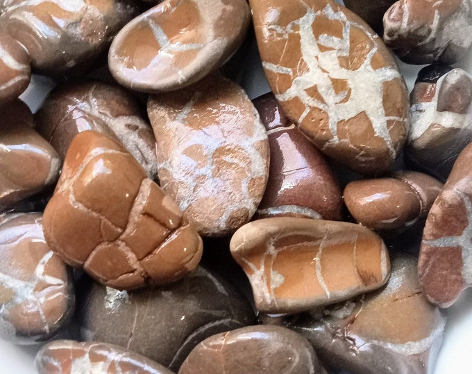 Michigan Lightning Stones - Septarian Nodules - Fossil Mud Cracks - 4 ...