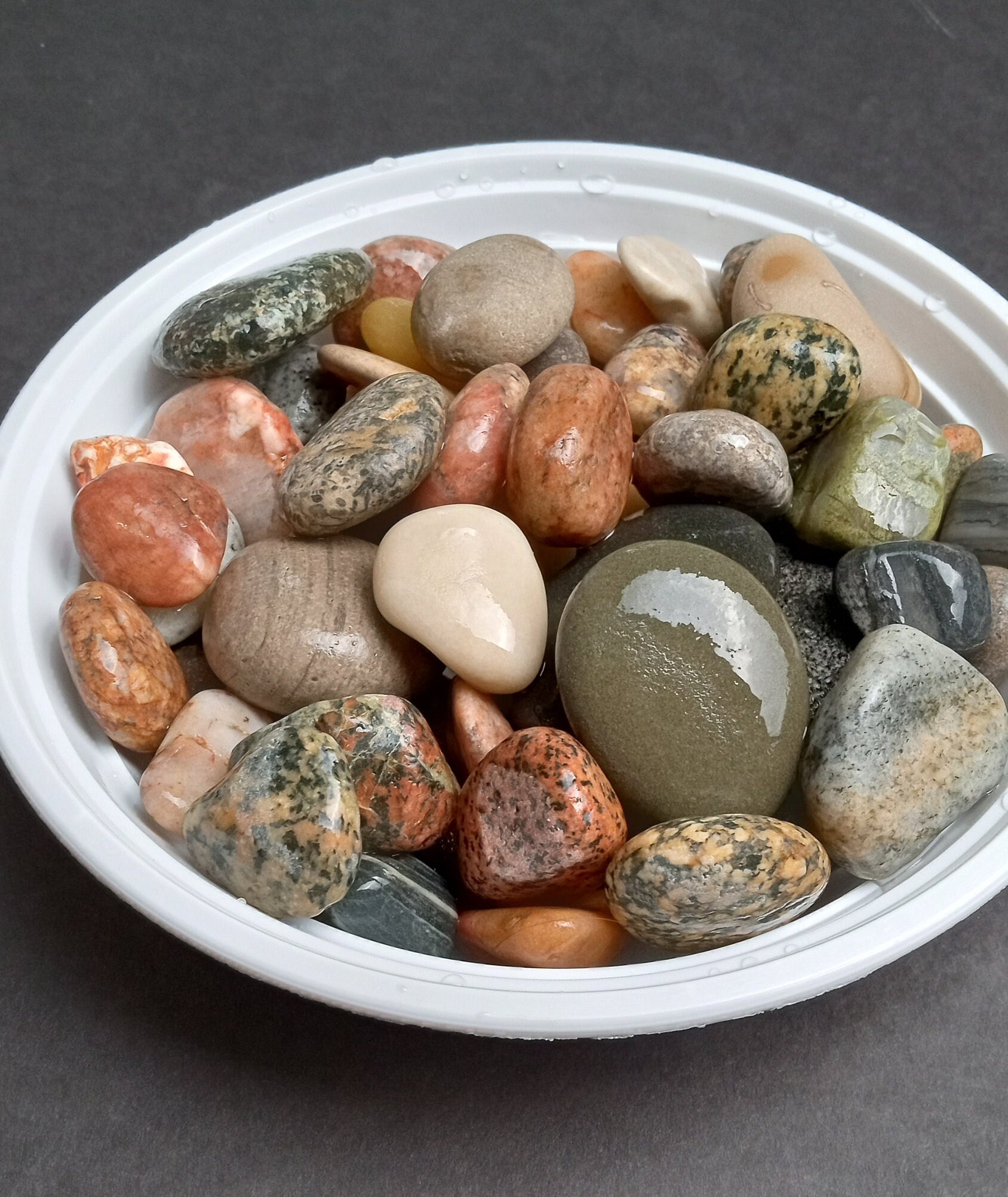 Unpolished Medium Sized Rocks, Great Lakes Rocks and Fossils, Tumbling ...