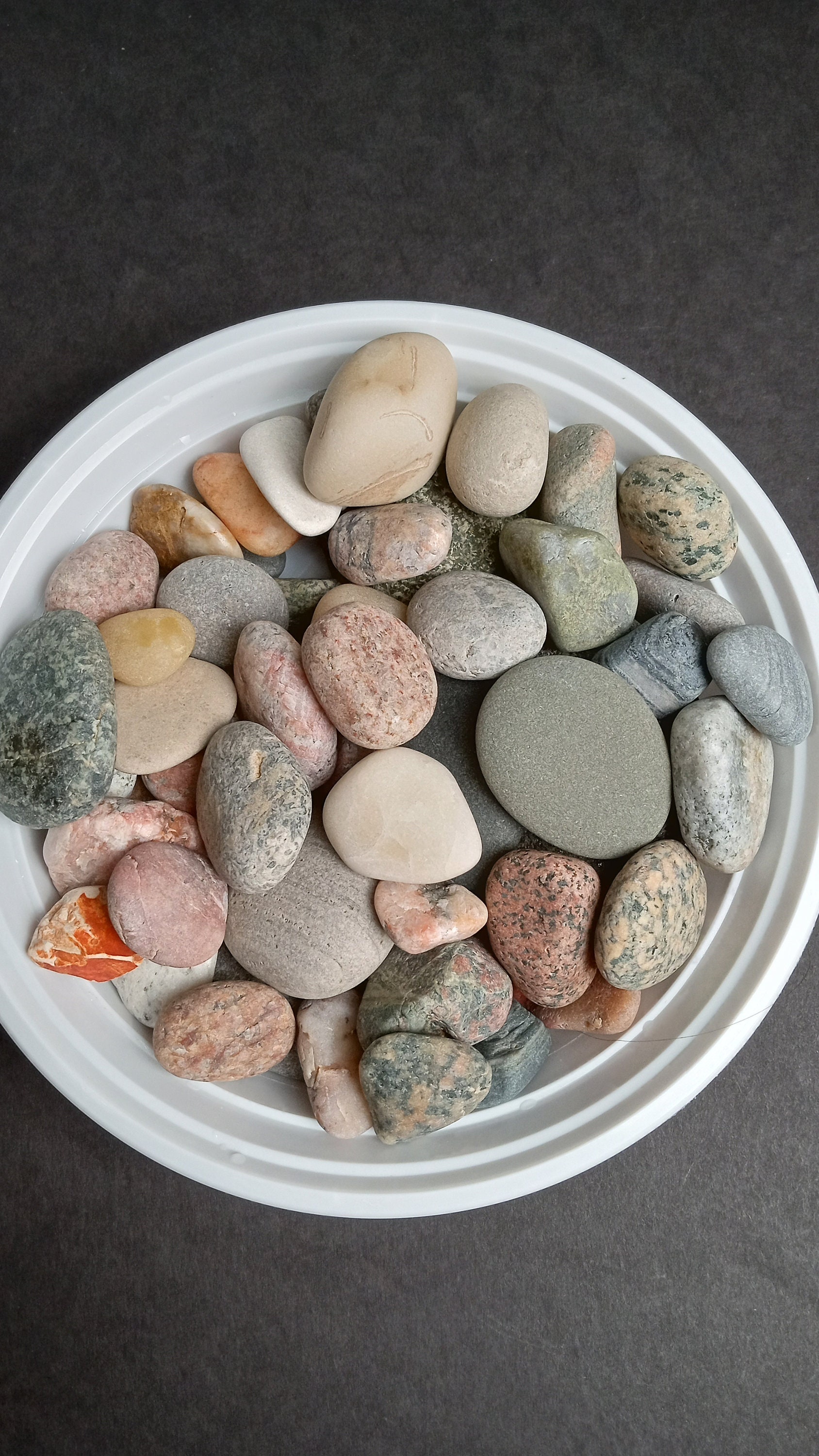 Unpolished Medium Sized Rocks, Great Lakes Rocks and Fossils, Tumbling ...