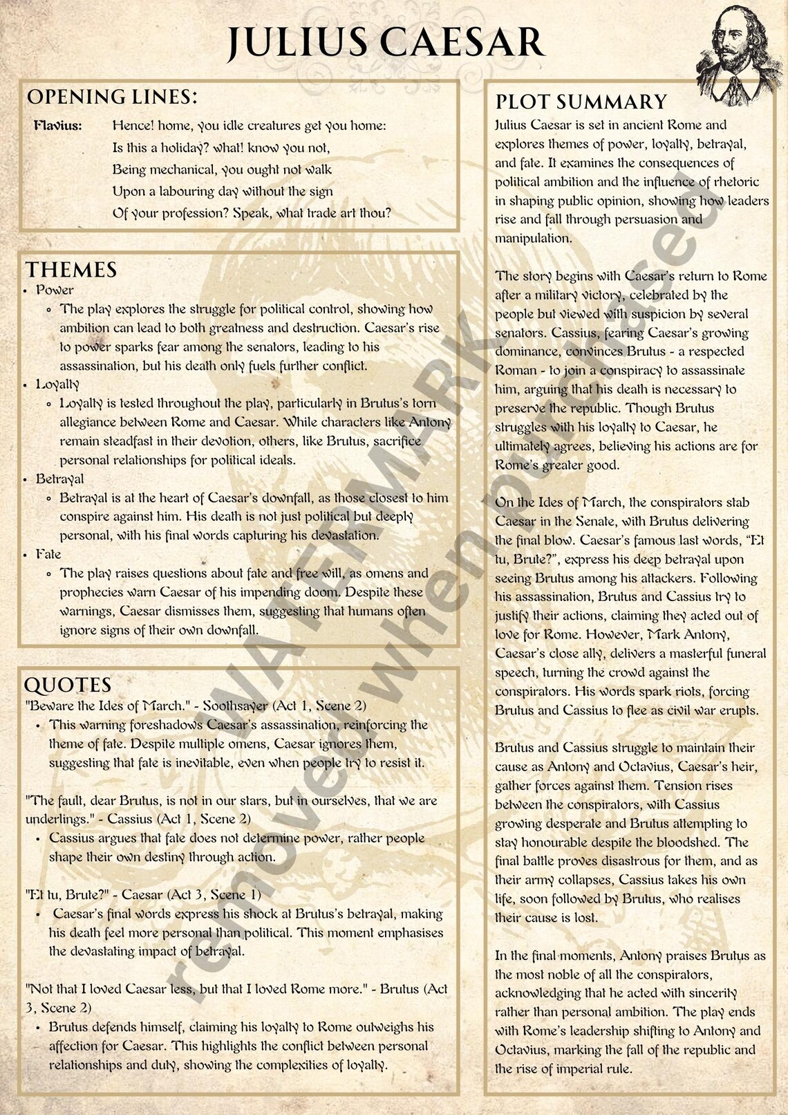GCSE Shakespeare Revision Poster Bundle - Six Concise Learning Posters ...