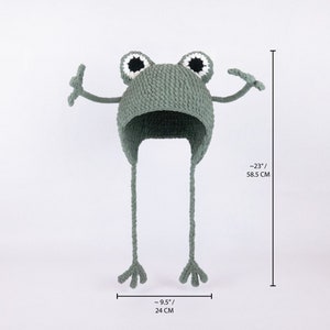 FROGGO Hat, Bendable Arms, Fluffy Animal Hat, Frog - Etsy