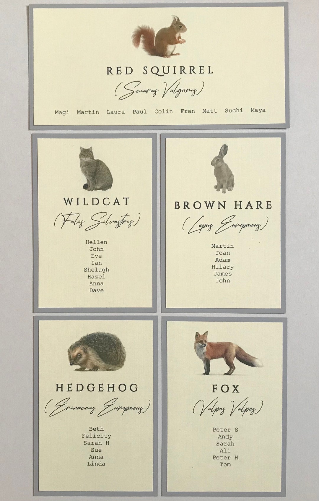 Woodland Animals Table Plan Cards / Country Wedding Wild Animal Theme ...