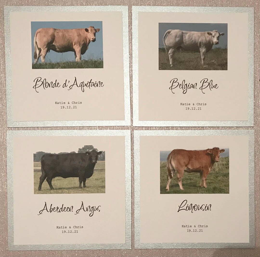 Cow Breed Table Numbers, Farm Theme Wedding Table Names, Cattle Table ...