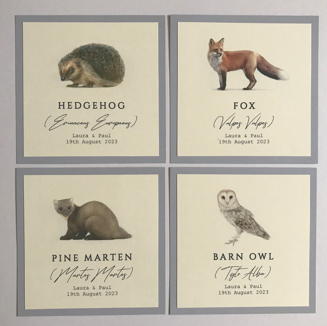 Woodland Animals Table Signs / British Wildlife Table Numbers / Country ...