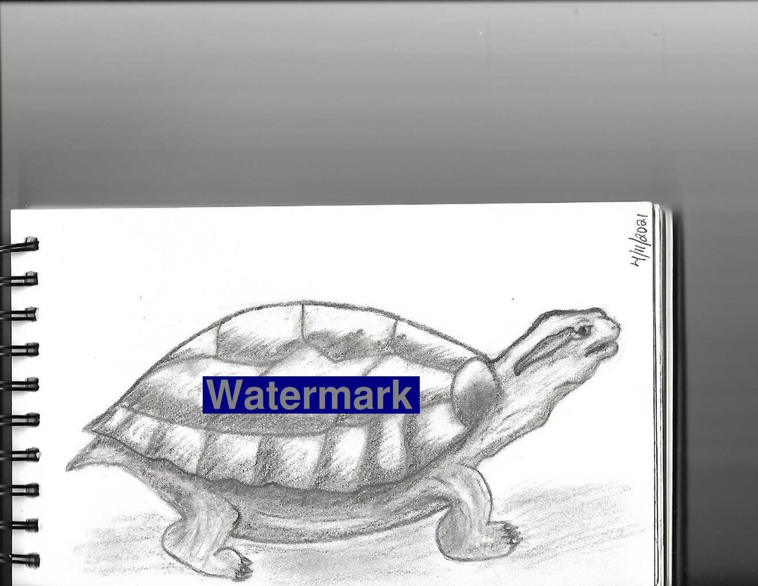Sketch of Turtle - Etsy