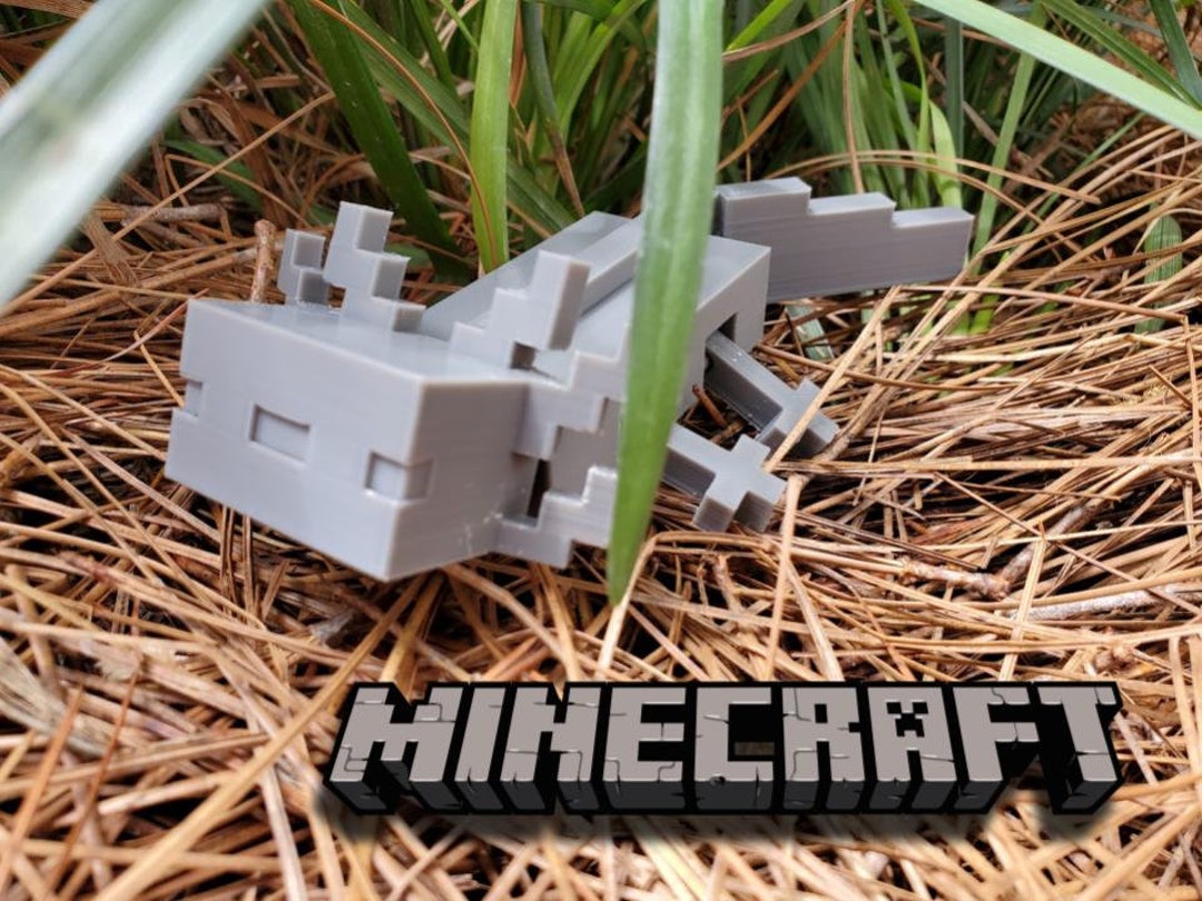 Adult & Baby Minecraft Axolotl Models / 3D Printed Model - Etsy