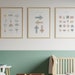 Set of 8 Educational Posters, Montessori Homeschool Prints, Neutral ...