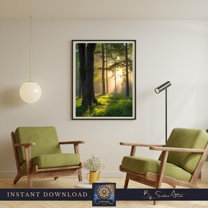 2-piece Forest Landscape Poster Set | Digital Art | Sunlight in the ...