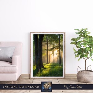 2-piece Forest Landscape Poster Set | Digital Art | Sunlight in the ...