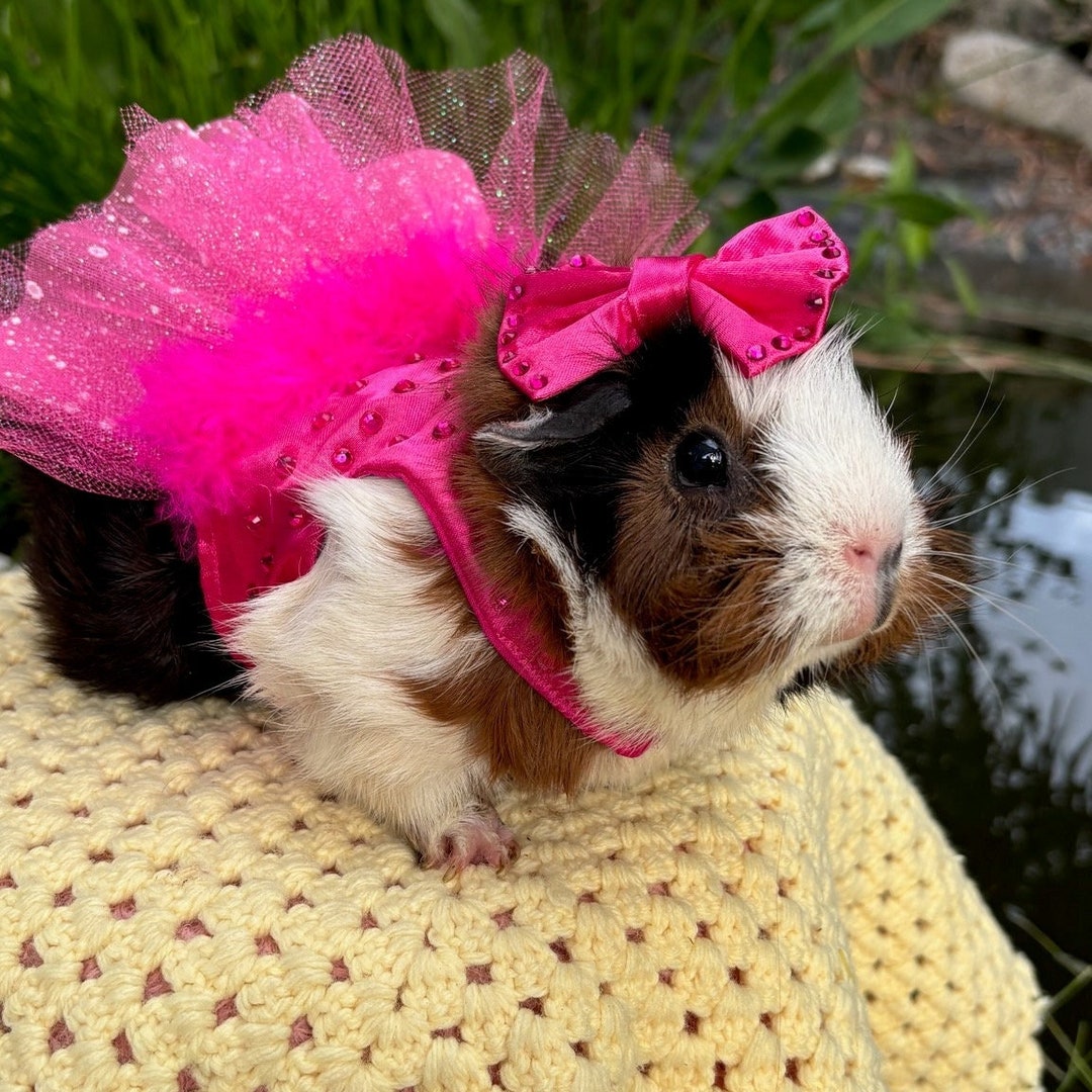 Pink Tutu Dress / Pink Dog Cat Pet Apparel Hot Pink Tutu Dress Dog ...