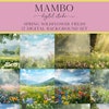 Spring Forest Scenes Digital Backdrop Set, Photoshop Background ...