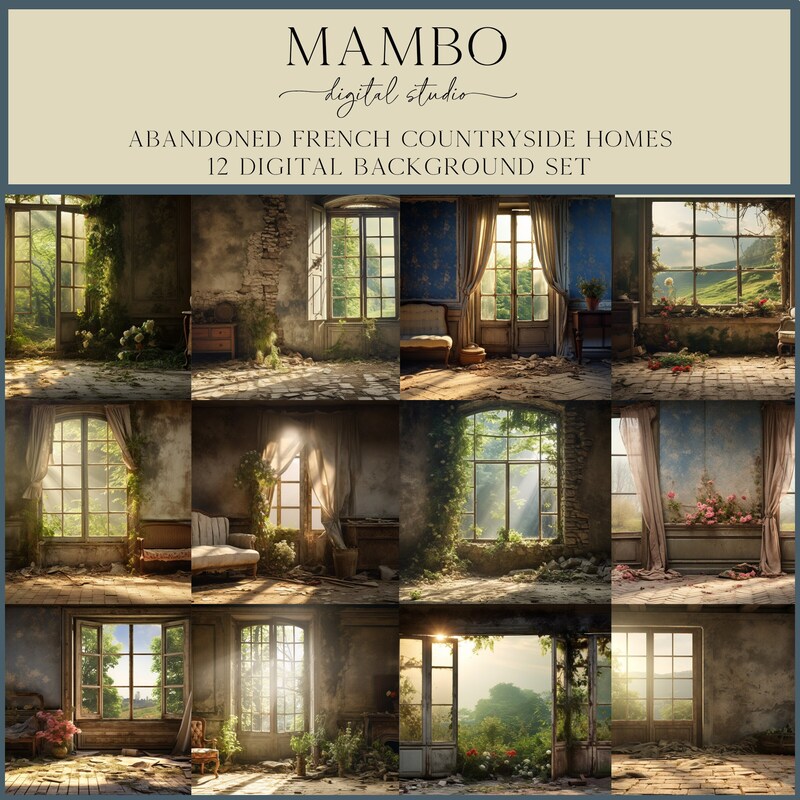 French Backdrop - Etsy