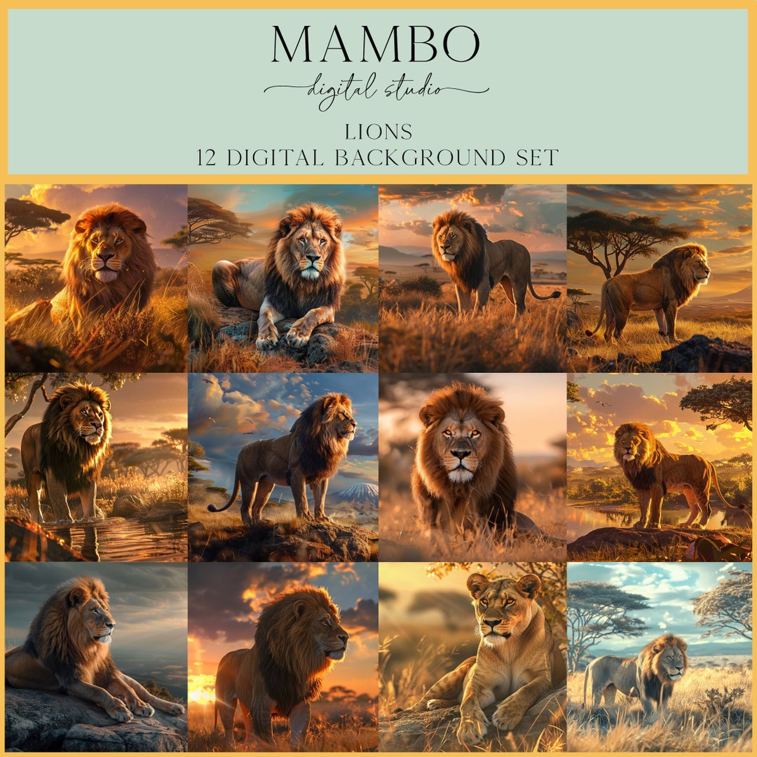 Lion Scenes Digital Backdrop Set, Photoshop Background, Digital ...