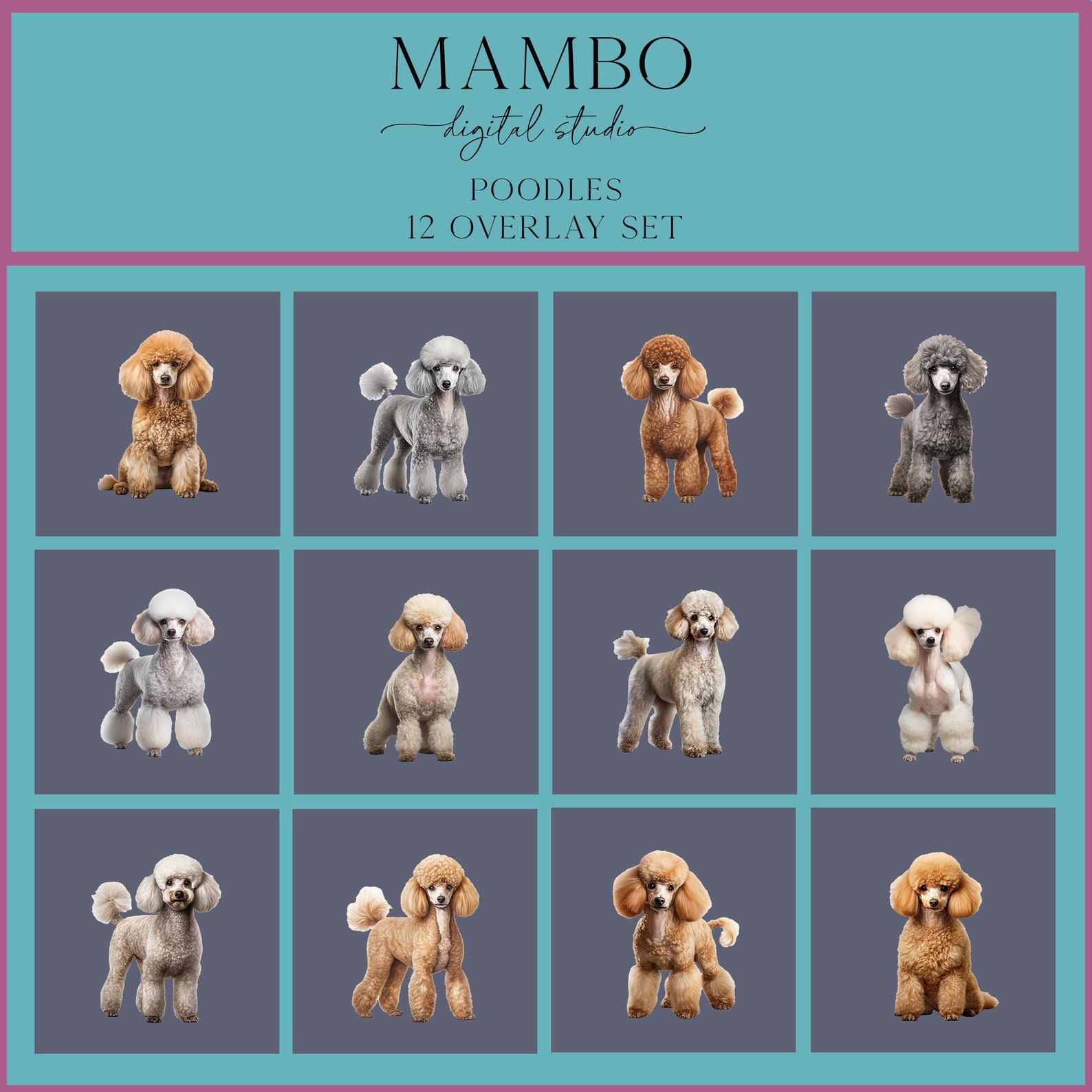 Poodle Dogs Photoshop Overlay Set, Photoshop Overlays, Digital Overlay ...